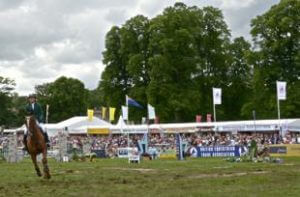 BETA UK - British Equestrian Trade Association UK